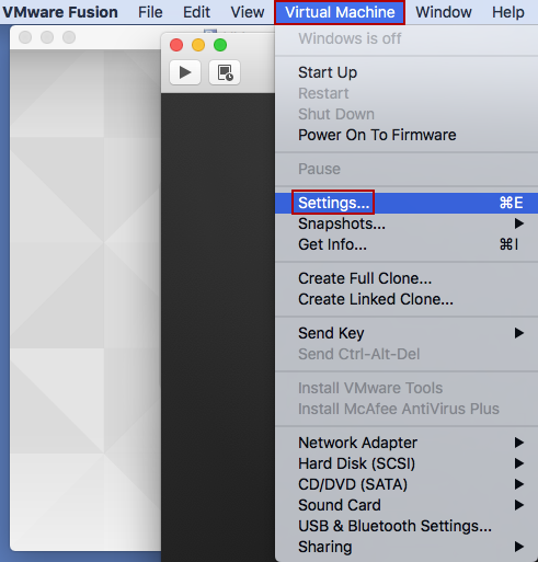 Connecting to the Cortex